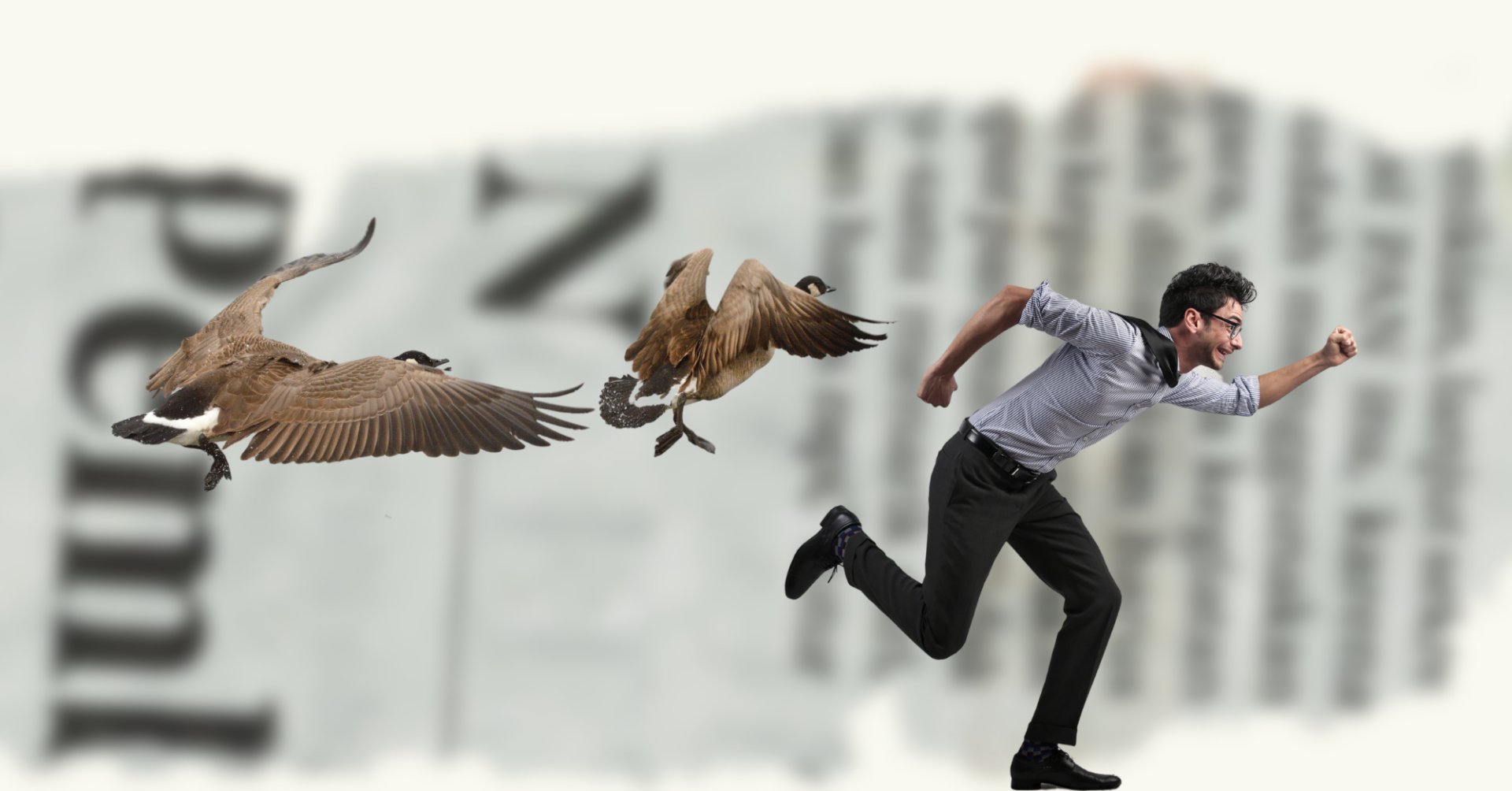 “Gangsta The Goose” Chases Neighbors- Reform Austin