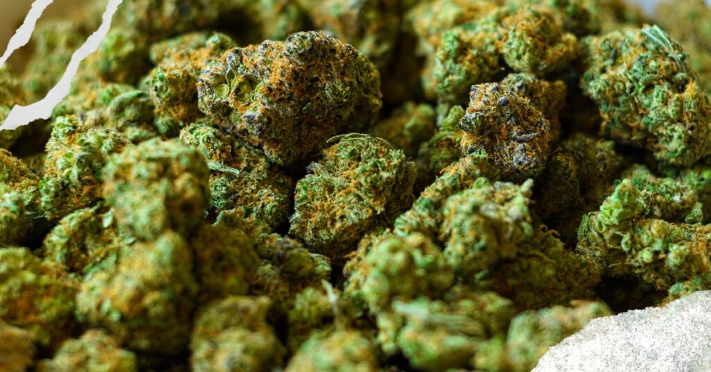 Dallas To Vote On Marijuana Decriminalization In November - Reform Austin